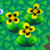 Hornveilchen Animal Crossing
