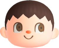 Aussehen (New Horizons) - Animal Crossing Wiki