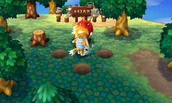 Spielfehler (Glitch) (New Leaf) - Animal Crossing Wiki