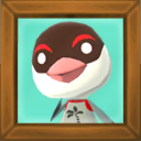 Picko - Animal Crossing Wiki