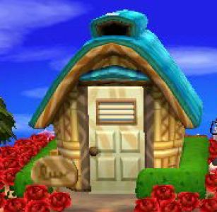 Dora - Animal Crossing Wiki