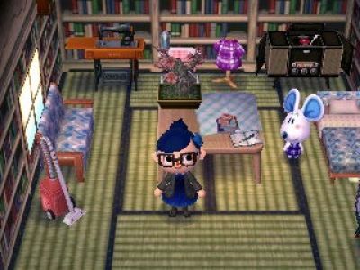 Dora - Animal Crossing Wiki