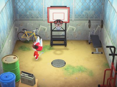 Pit - Animal Crossing Wiki